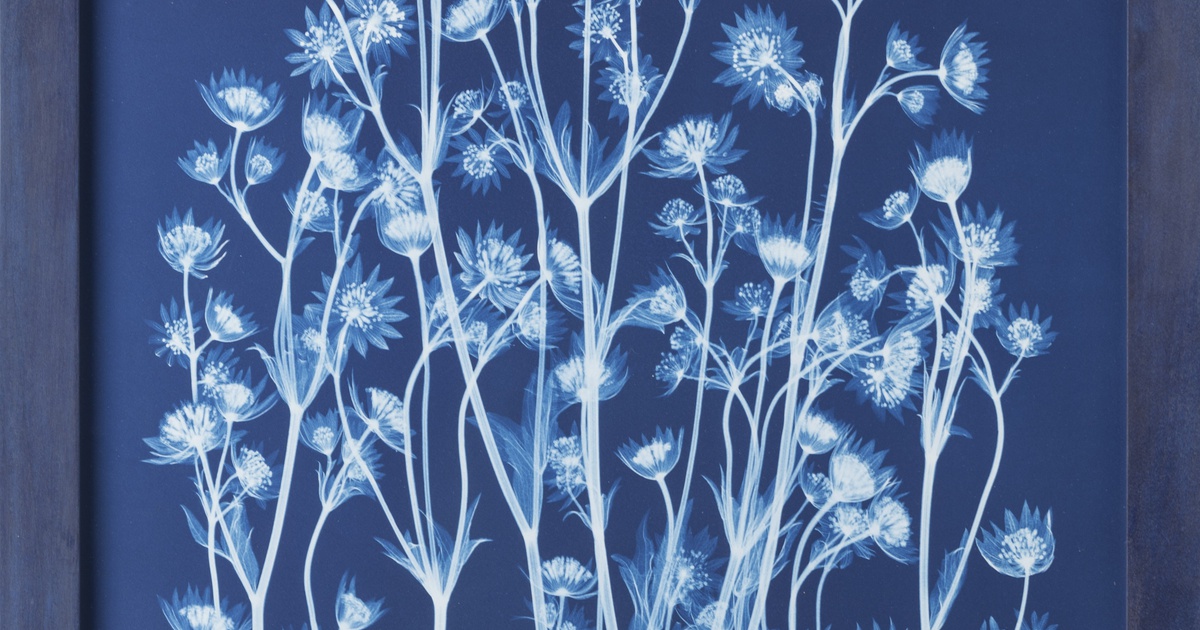 Bryan Whitney - Exhibitions | Aurelia Gallery